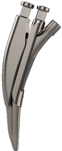 Watson Extraction System