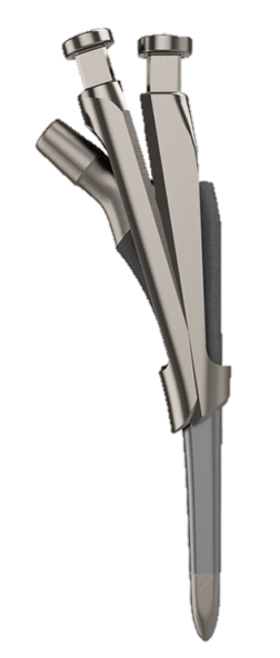 Watson Extraction System