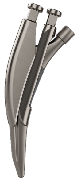 Watson Extraction System